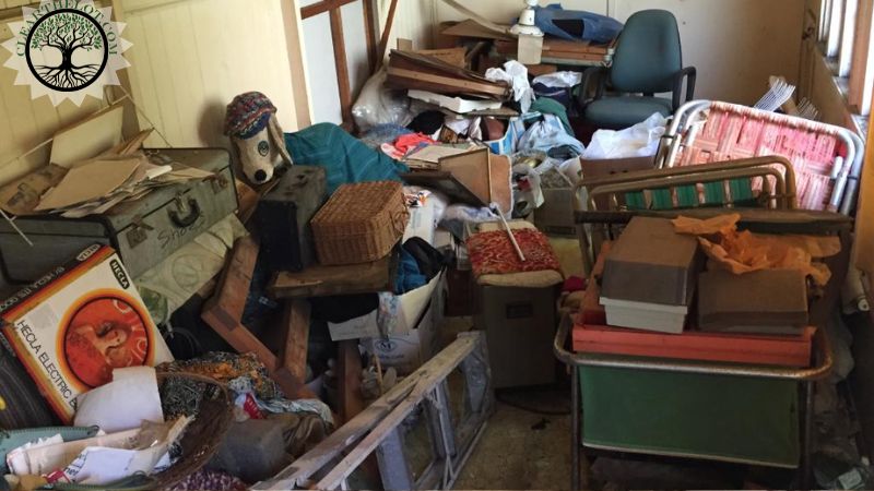 Compulsive Hoarder